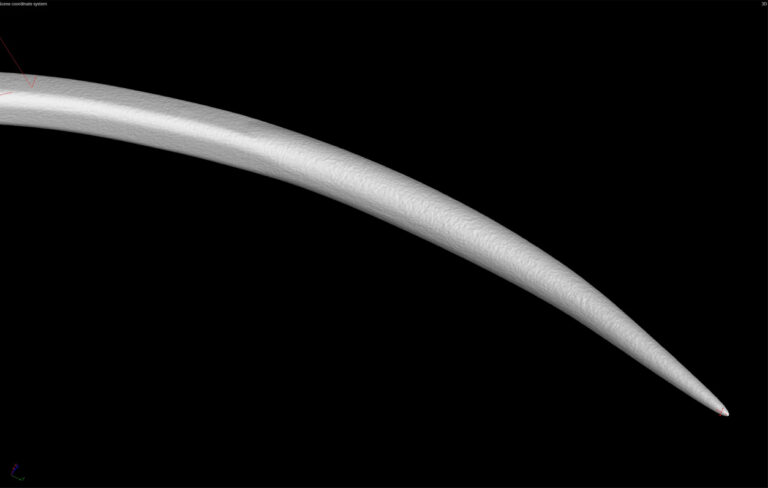 Industrial CT Scan of Suture Needle - Industrial Inspection & Consulting